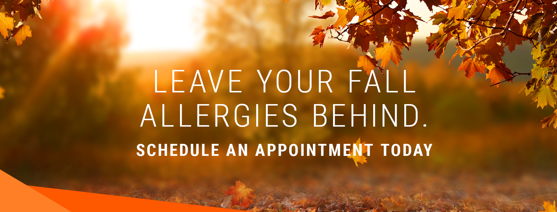 Charlotte Eye Ear Nose & Throat Associates, P.A.